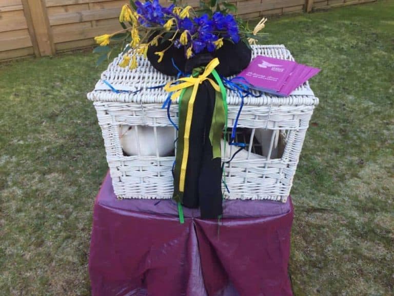 Dove Release at Eastbourne Crematorium - Sussex Dove Release